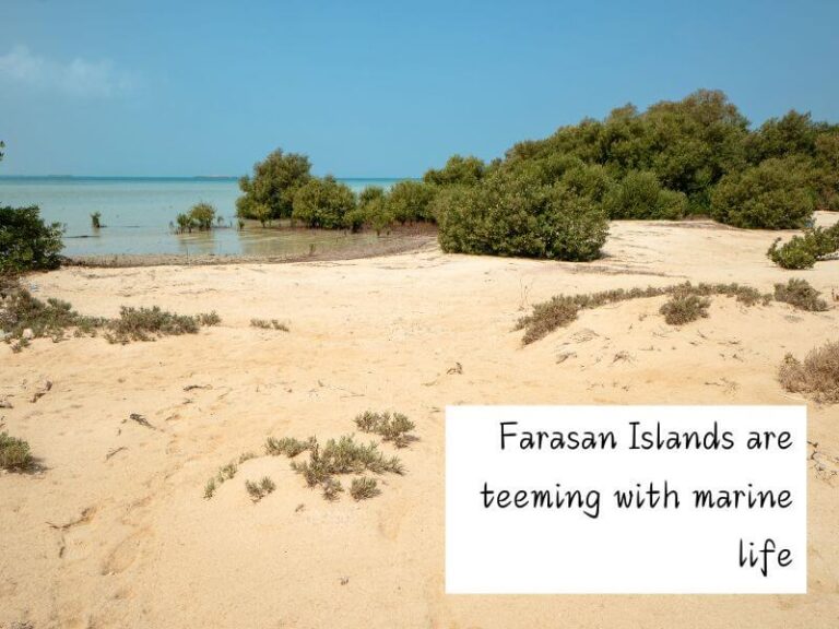 10 Best Places To Visit In Saudi Arabia - Middle East Journeys